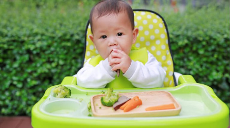 Protein requirements of baby, infants and toddlers - Vaya News