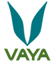Anta Vaya Logo